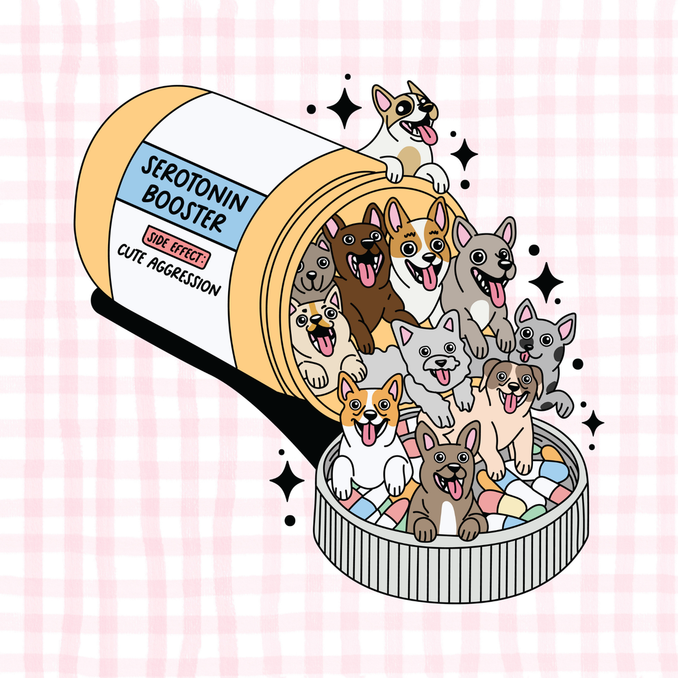 Serotonin Booster Dogs Permanent Decal – Dizzy + Dilbert